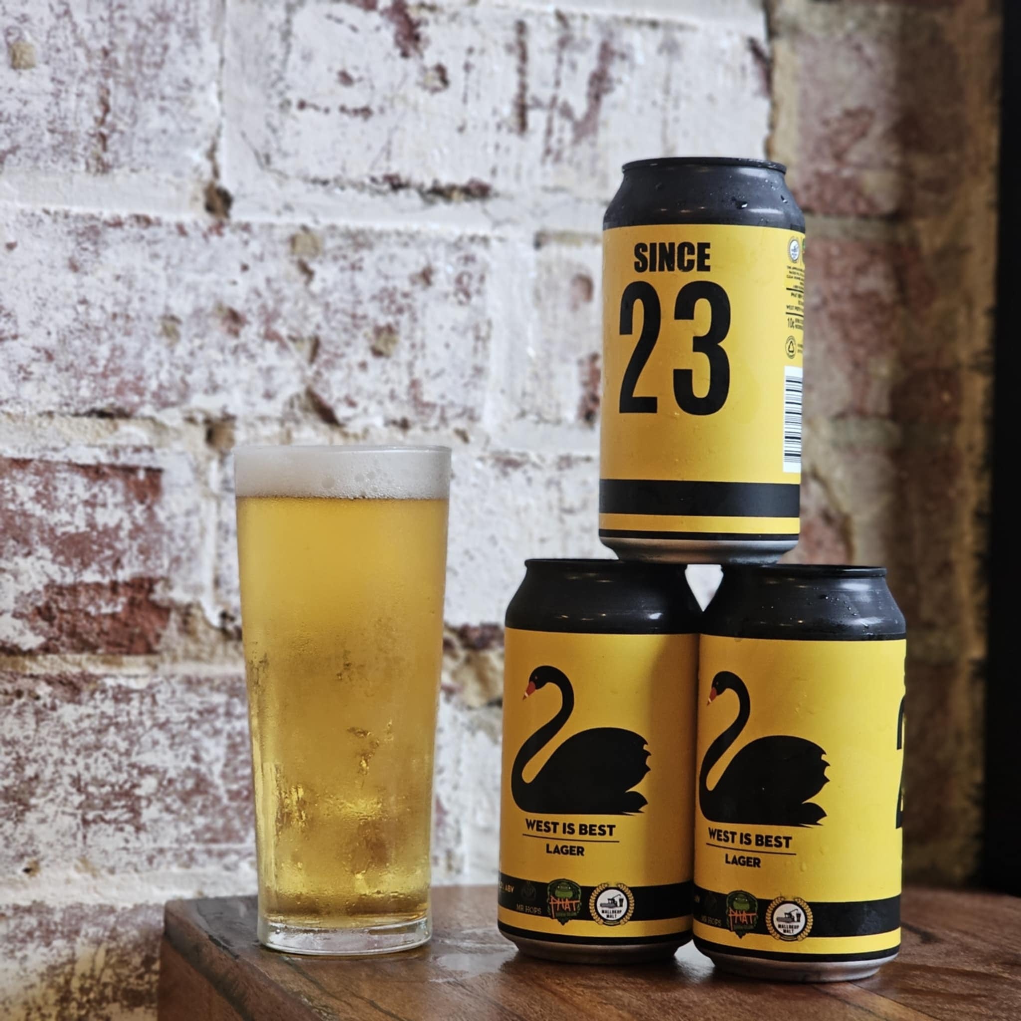 West is Best Lager 4% | Phat Brew Club Pty Ltd